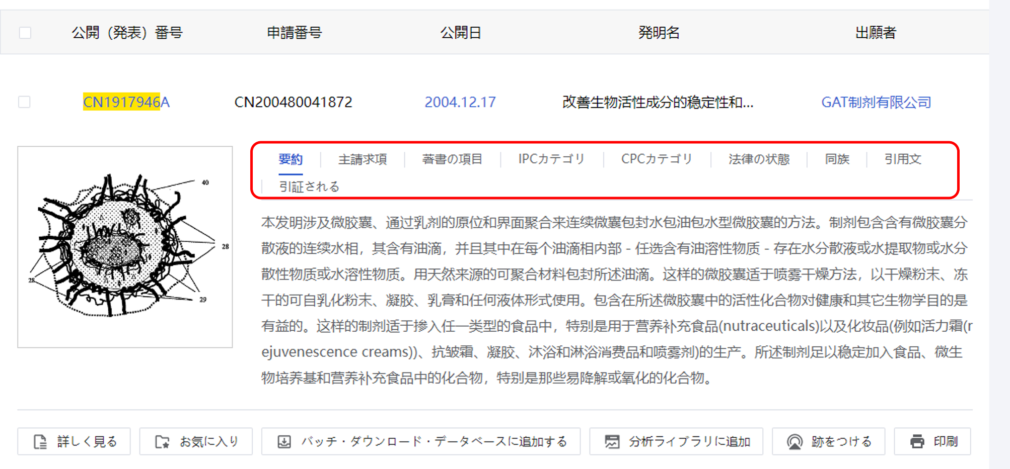 サーチャーのための中国国家知識産権局（CNIPA）の使い方 | アズテック株式会社｜特許調査・技術分析